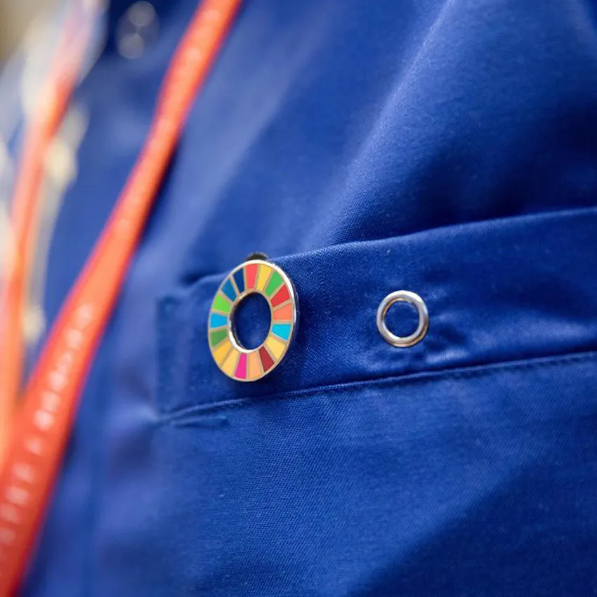 Wholesale Metal Sdgs Lapel Pin National Sdg Enamel Epoxy Pin Badge ...