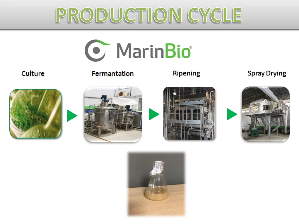 Silage Inoculant Multi Strain Probiotics Liquid Premix Form %10 ...