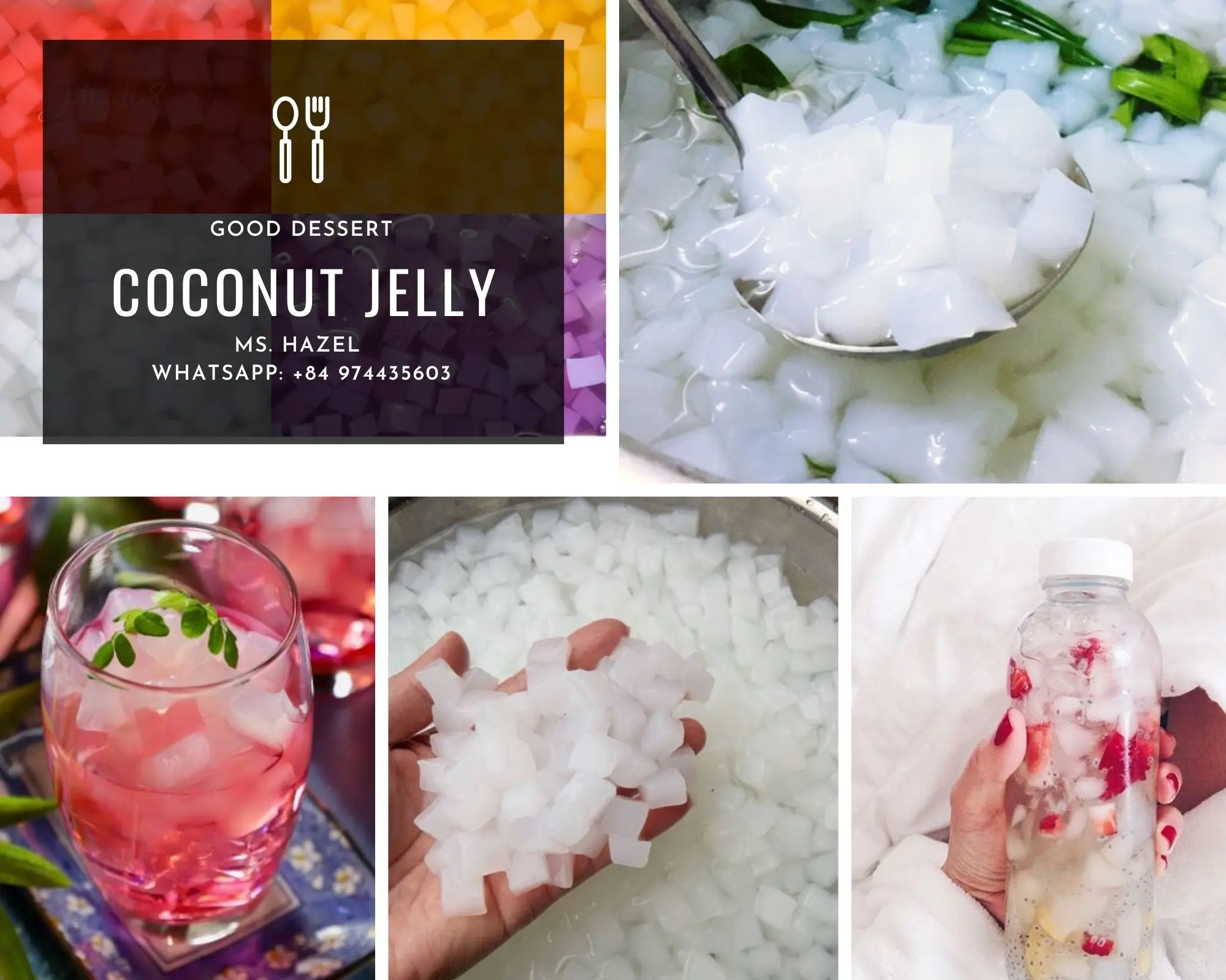 Fresh And Soft Coconut Jelly From Ben Tre Province/nata De Coco Made In ...
