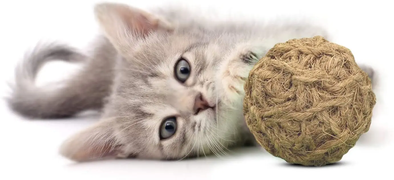 Coco Ball Dog Chew/ Natural Coconut Chew Rope Toy - Coconut Husk Rope ...