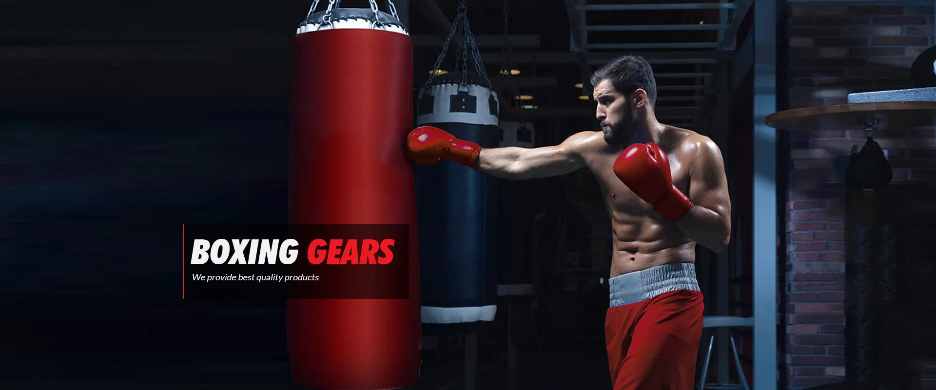 Training Target Boxing Punching Bag Boxing Equipment Standing Heavy ...