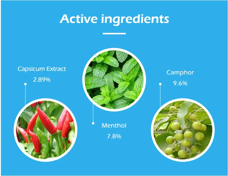 BLUENJOY Chinese Capsicum Extract Capsicum Pain Relief Patches Capsicum ...