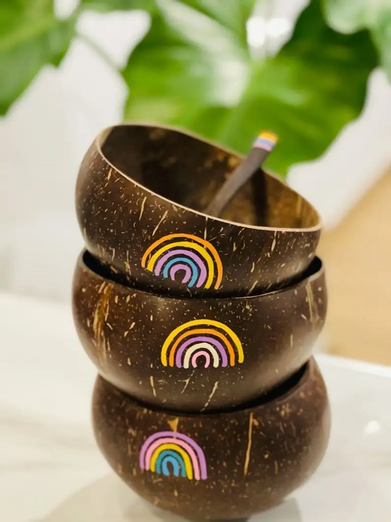 Vietnam Natural Hand Painted Coconut Shell Bowl Wholesale Multiuse ...