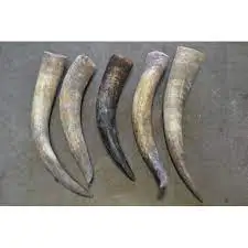 High Quality Pair Horn - White and Black Buffalo Horn Decor