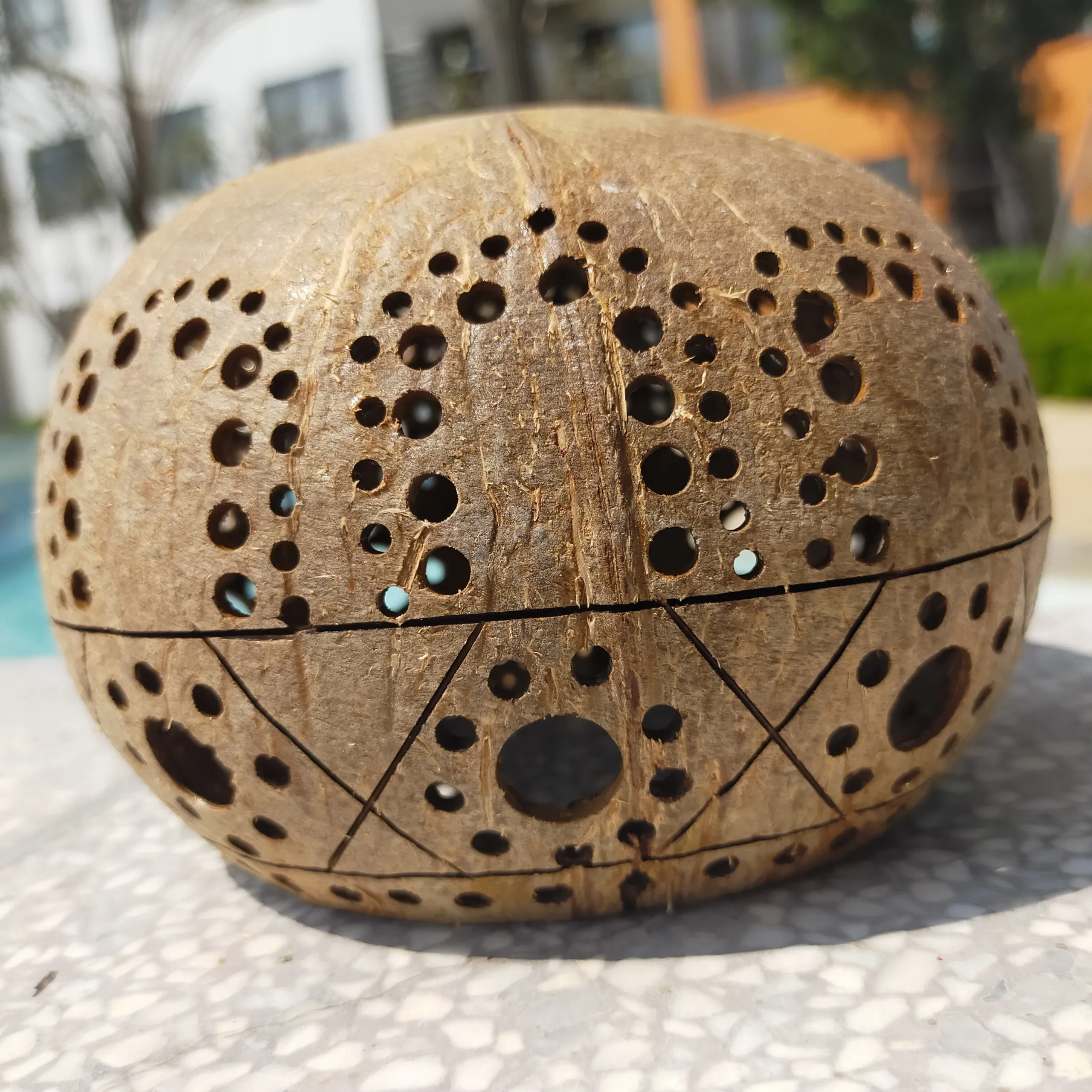 COCO-ECO NATURAL COCONUT SHELL LAMP/COCONUT HOME DECOR/SIMPLE STYLE ...