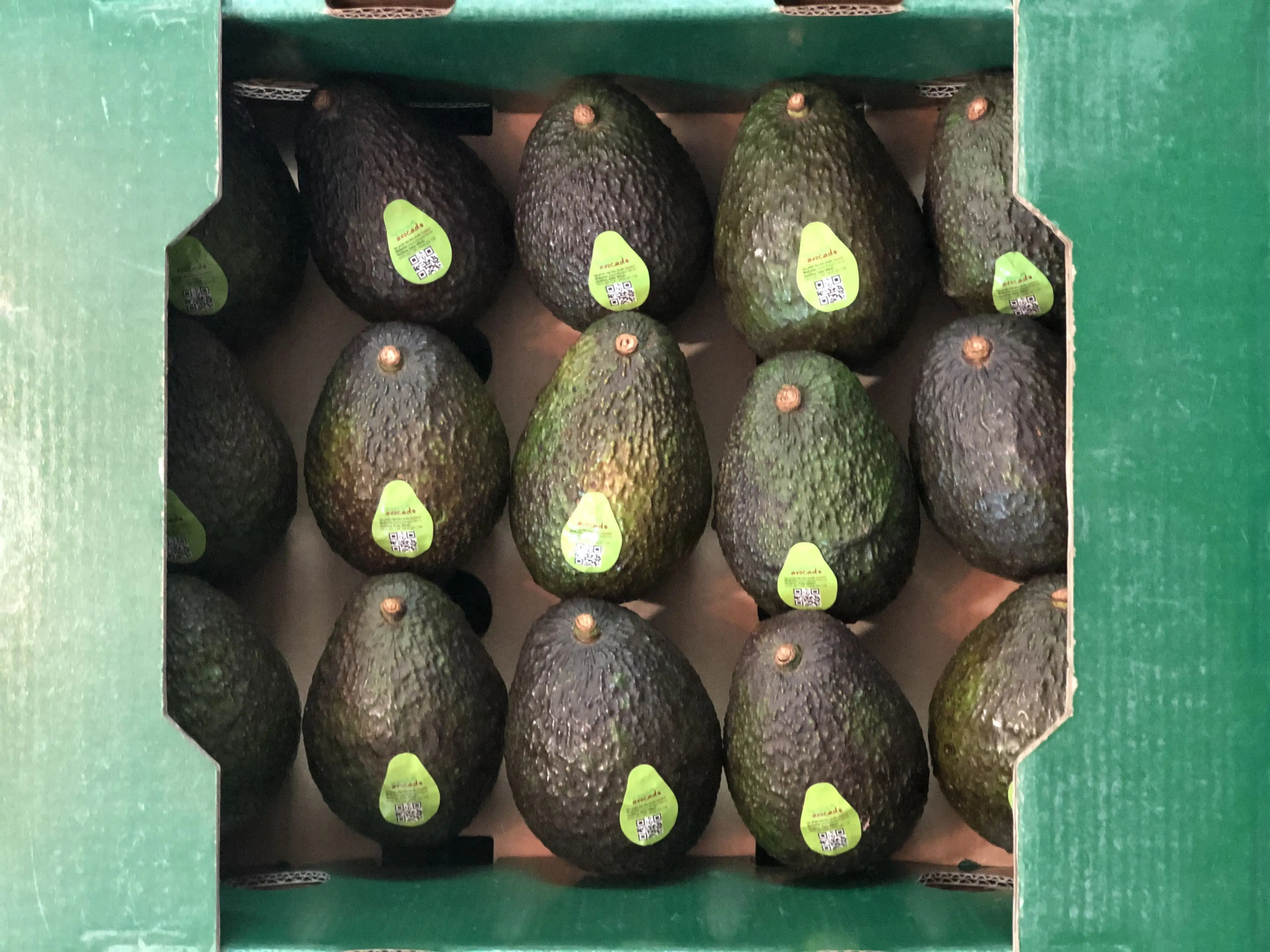 Fresh Avocado - Iqf Frozen Avocado - High Quality Avocado For Sale ...