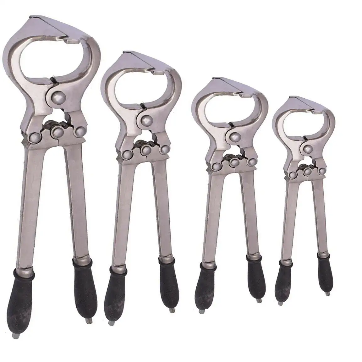Band Removing Plier Orthodontic Pliers Stainless Steel Animal Tool 18 ...