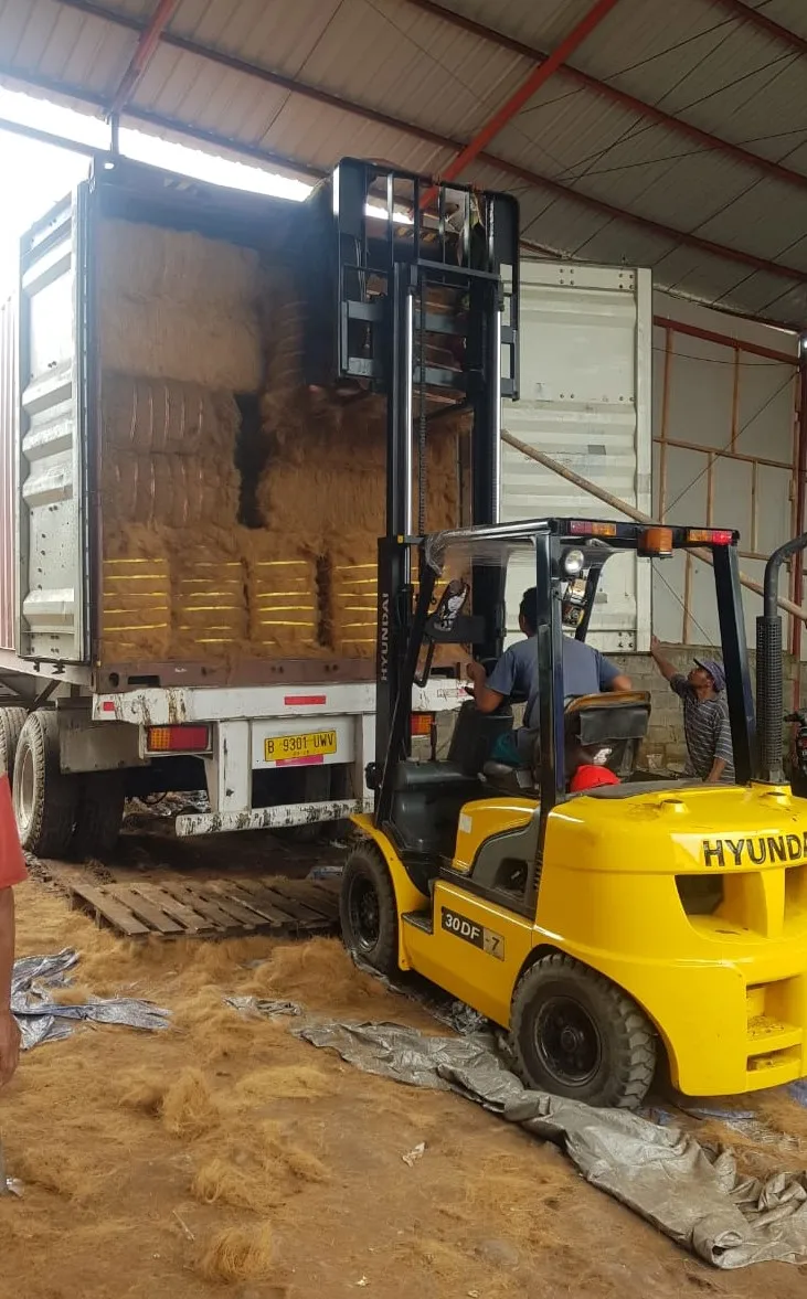 Indococo Coco Fiber - Quality Garden Material from Indonesia