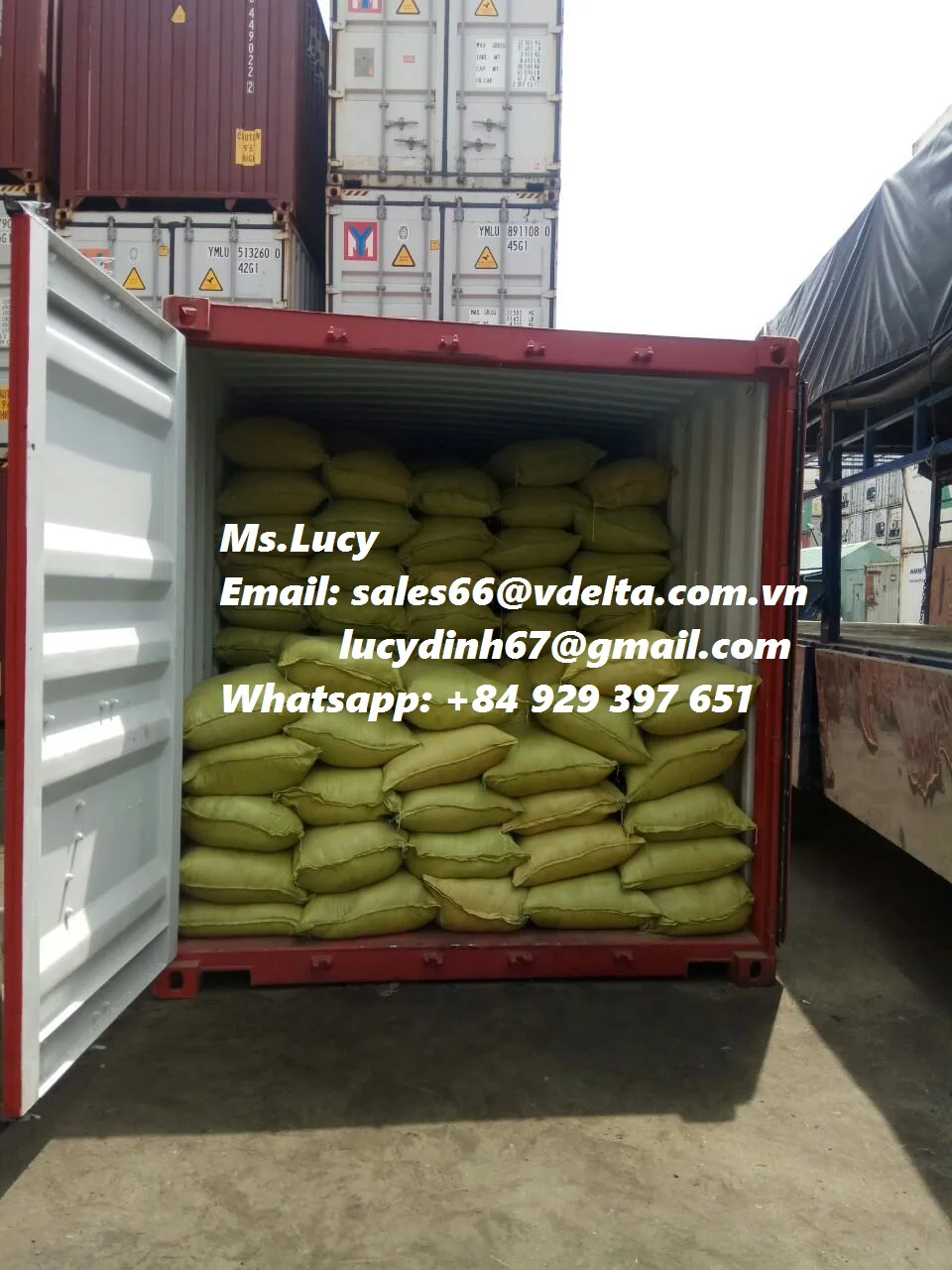 Ulva Lactuca/ Green Seaweed Powder/ Seaweed Powder For Sell Ms. Lily ...