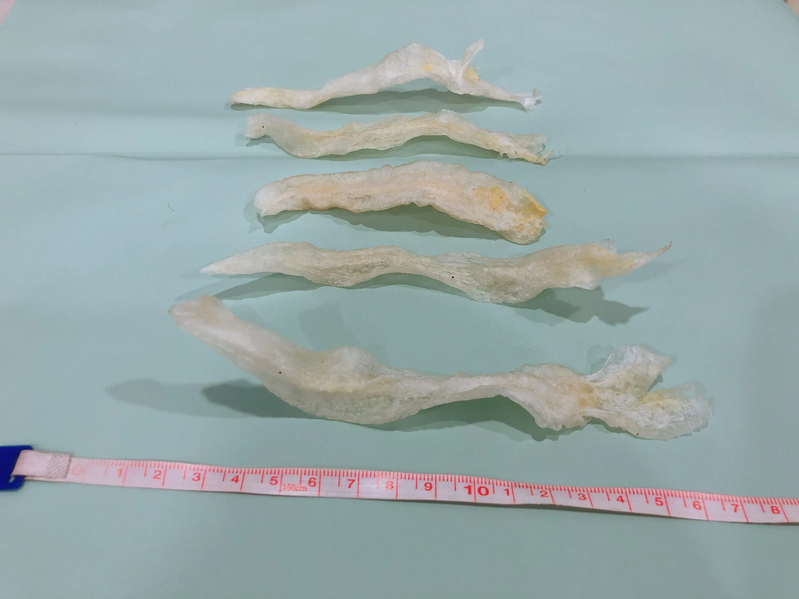High Quality Dried Ling Fish Maw - Nutritious & Effective
