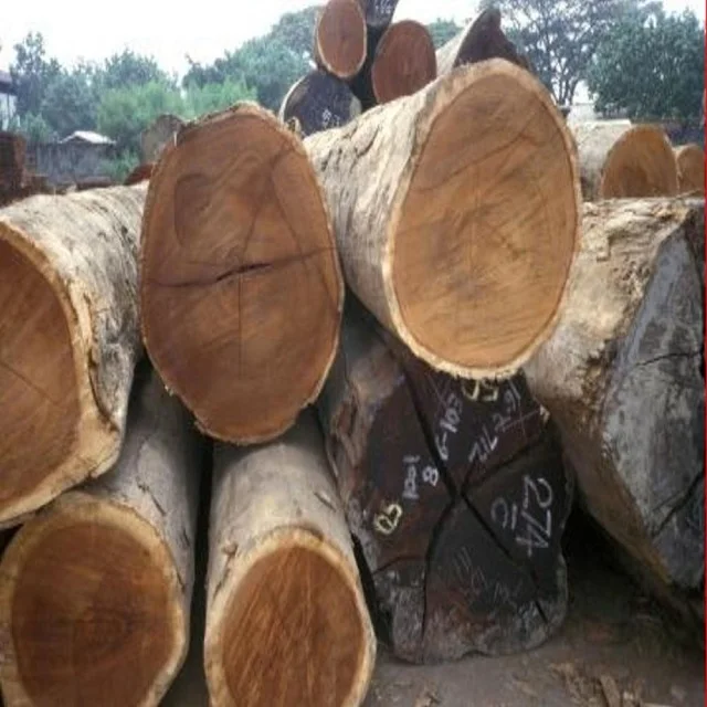 Pine, Birch, and Spruce Wood Logs - Durable and Versatile