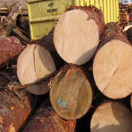 Pine, Birch, and Spruce Wood Logs - Durable and Versatile