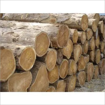Chengal Log Raw Wood Logs - Veneer Log Timber - Buy Hickory Logs,Acacia ...