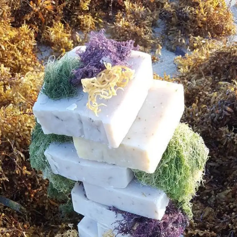 Sea Moss Bar Soap Unscented For All Skin Made In Vietnam/dried Irish ...