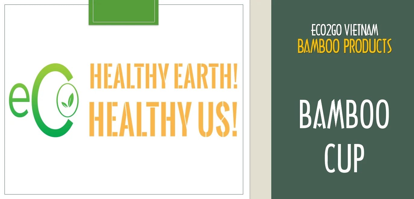 Eco2go Vietnam's Sustainable Natural Bamboo Coffee Cup Disposable ...