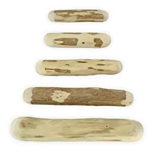 Best Supplier For Coffee Wood Dog Chew Toy/ Coffee Tree Wooden Stick ...
