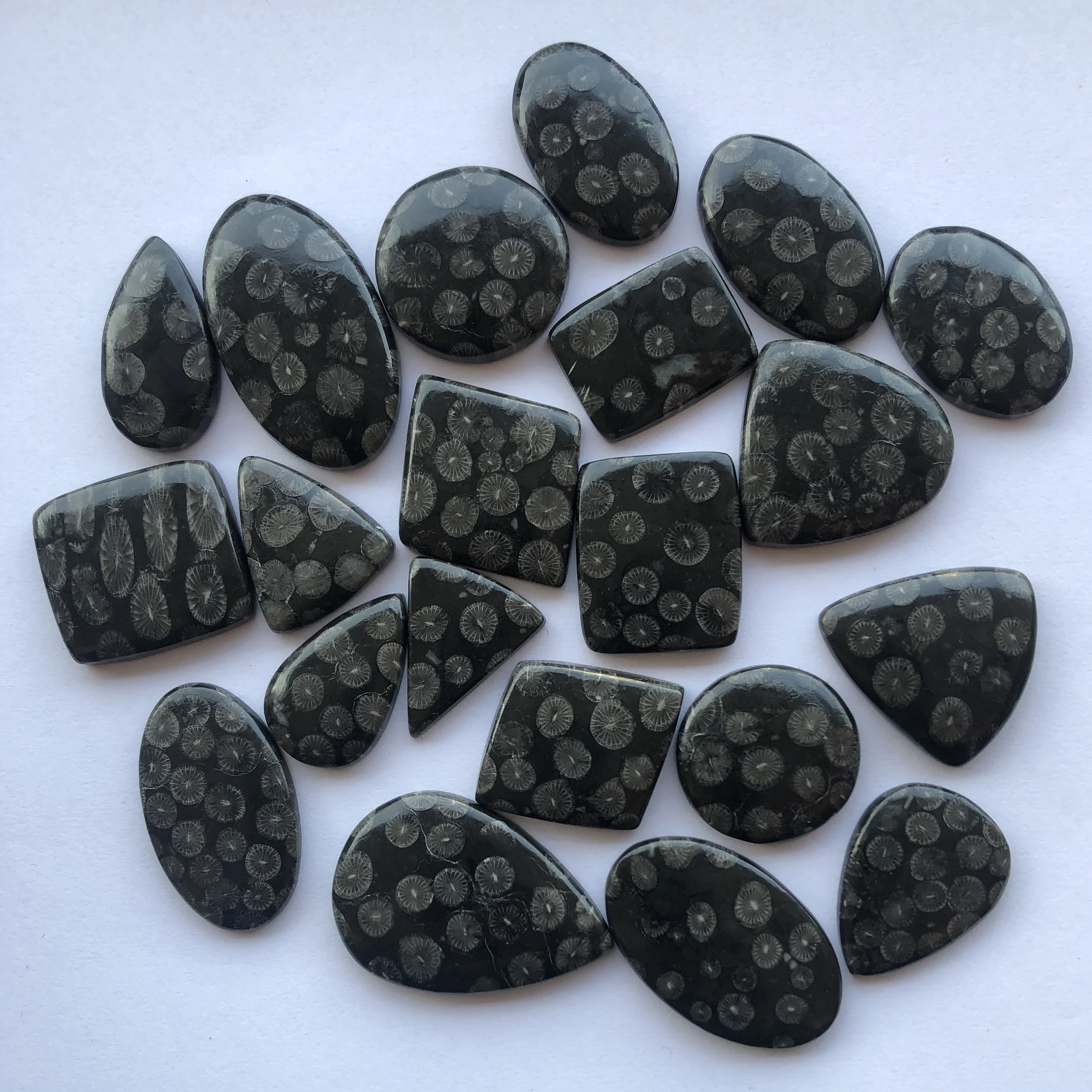Black Coral Gemstone