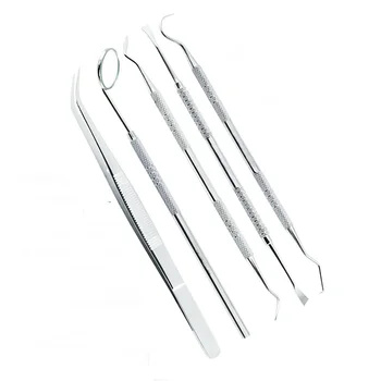Stainless Steel Dental Tooth Whitening Cleaning Kit Tarter Scrape ...