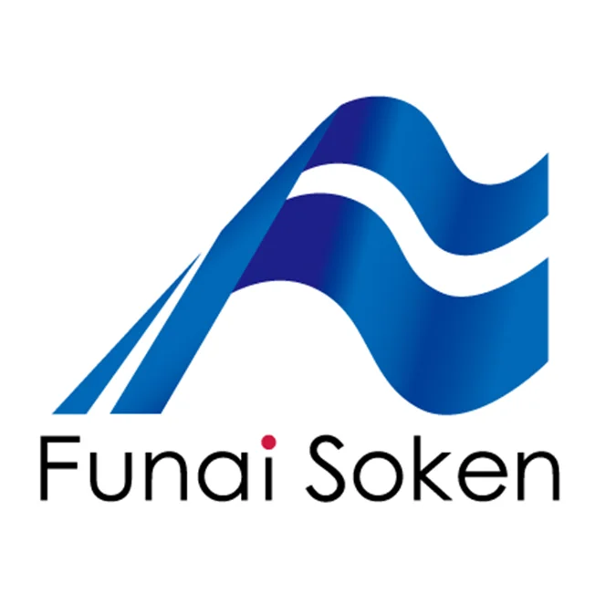 Company Overview - Funai Consulting Incorporated