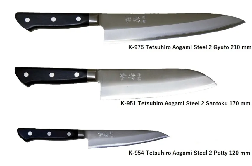 Tetsuhiro Aogami Steel 2 Kitchen Knives - Durable & Sharp