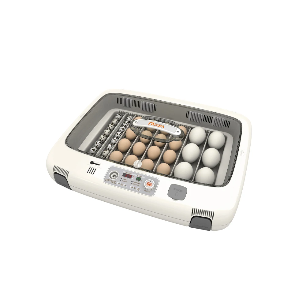 Alibaba.com: Rcom MAX 50 DO Artificial Intelligence Incubator with ...