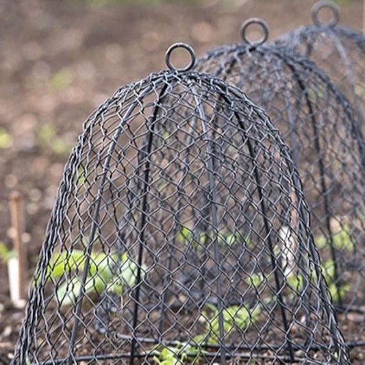 Metal Chicken Wire Dome Lampshade Garden Hacks: 10 Ideas For Wire ...