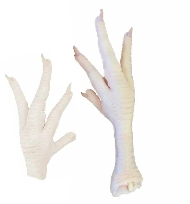 SIF Approved Frozen Chicken Feet/Paws Export to China, Vietnam, Japan ...