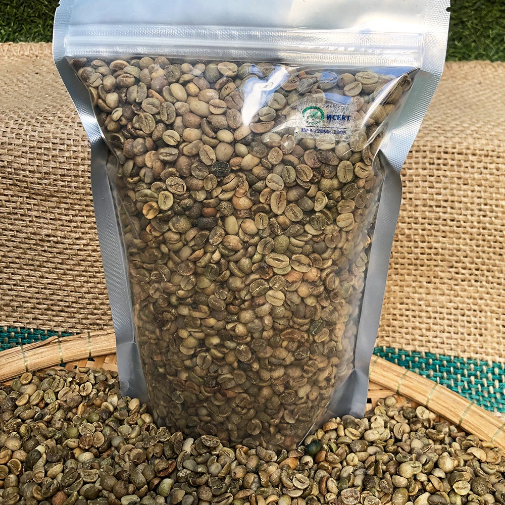 Green Arabica Moka Coffee Beans/ Organic Raw Coffee Beans - Carefully ...