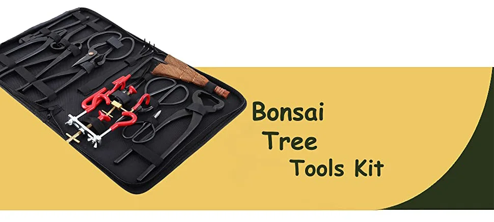 UAMED Bonsai Tree Kit - Premium Tools for Plant Cutting