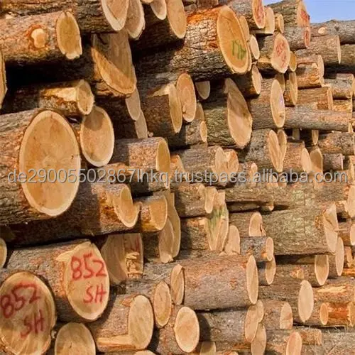 Pine/ Spruce Sawn Logs,14+ Cm Diameter - Buy New Zealand Radiata Pine ...