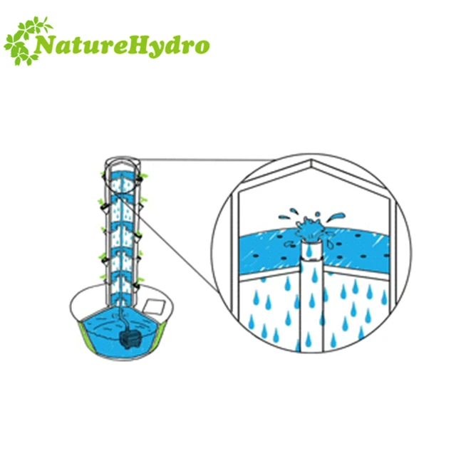 Vertical Aeroponic Grow System for Efficient Lettuce Production