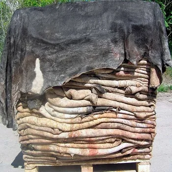 Dry Salted Cow Hides / Raw Salted Cow Hides - Buy Raw Salted Cow Hides ...
