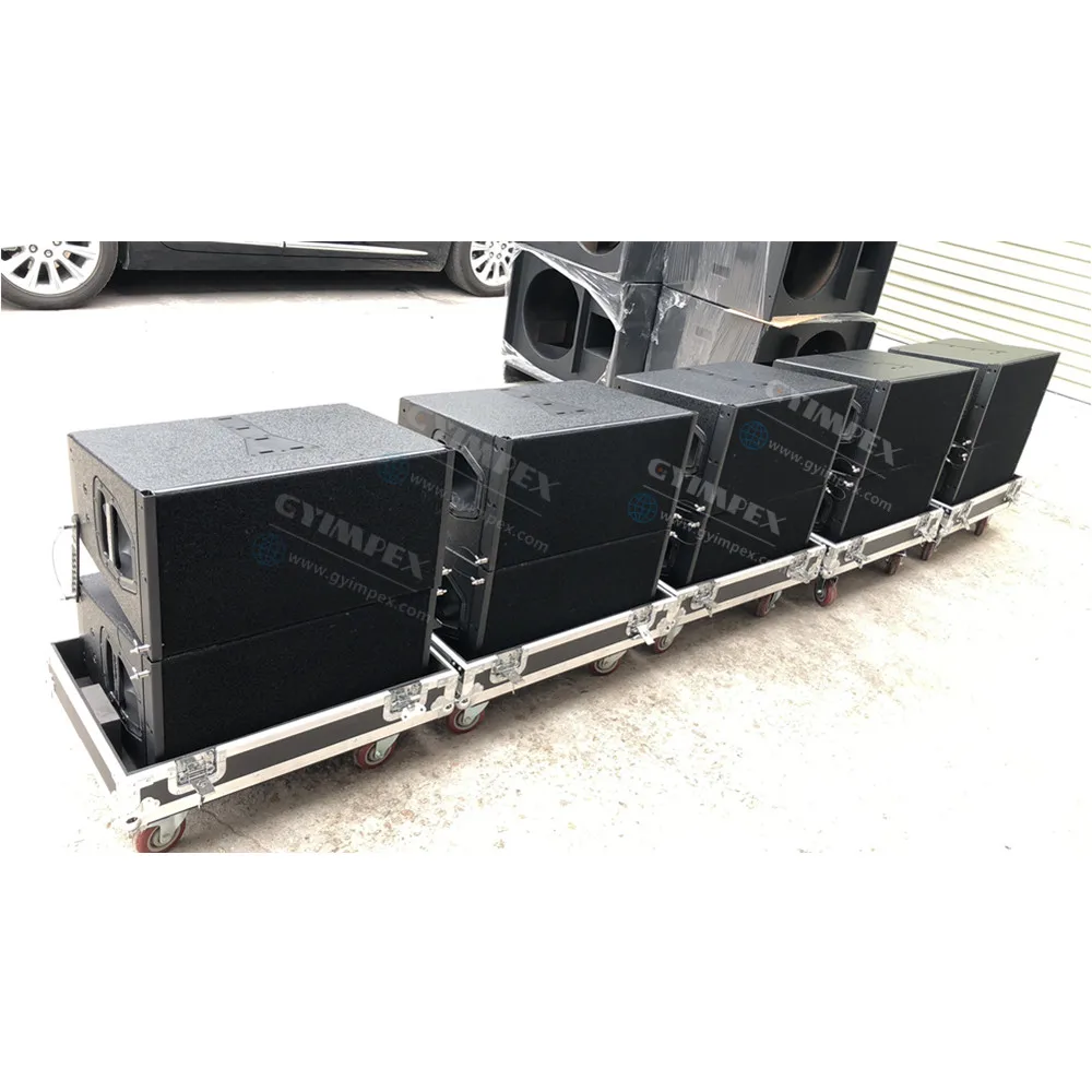 Empty Cabinet Speaker Box Line Array Dual 10" Small Size Big Power Professional Audio Sound ...