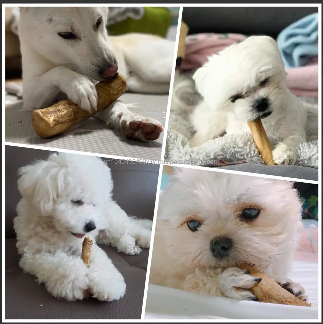 Natural Eco-friendly Coffee Wood Dog Chew Stick Safe For Dog/ Dog Chew ...