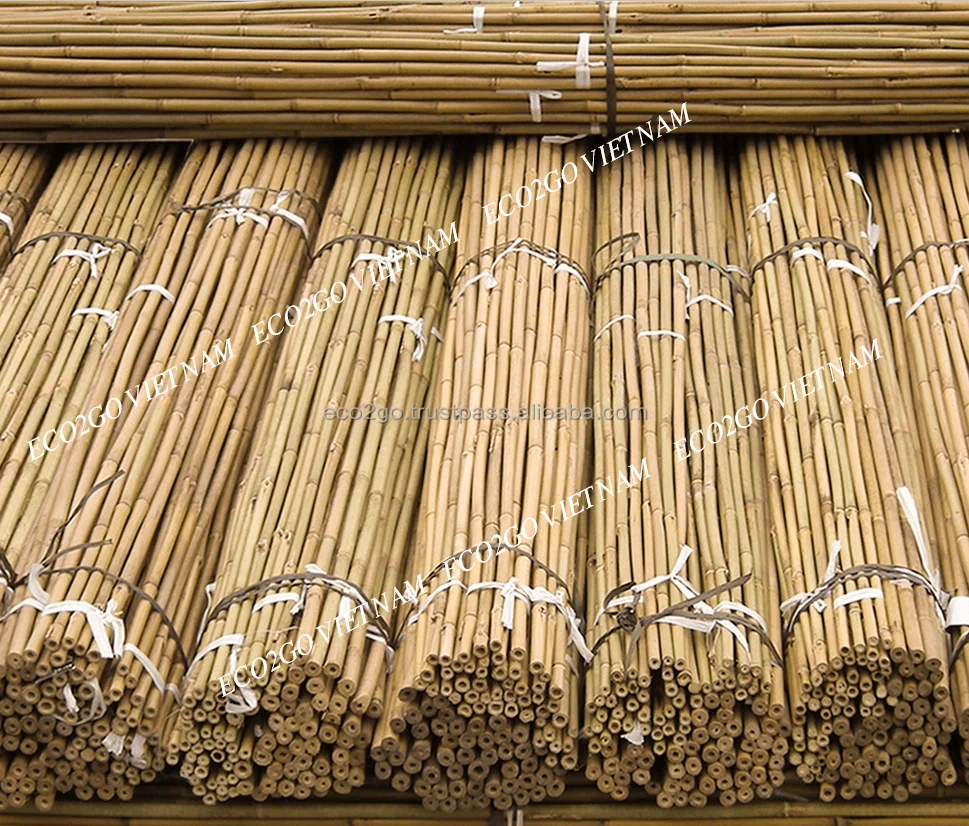 Wholesale 2024 Bamboo Plant Stake/ Bamboo Tree Stake/ Bamboo Cane With ...