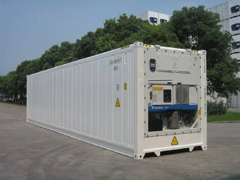 Used 20ft and 40ft Reefer Containers for Sale from Europe