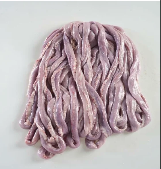Premium Quality Pig/pork Small Intestine - Instetines Casings