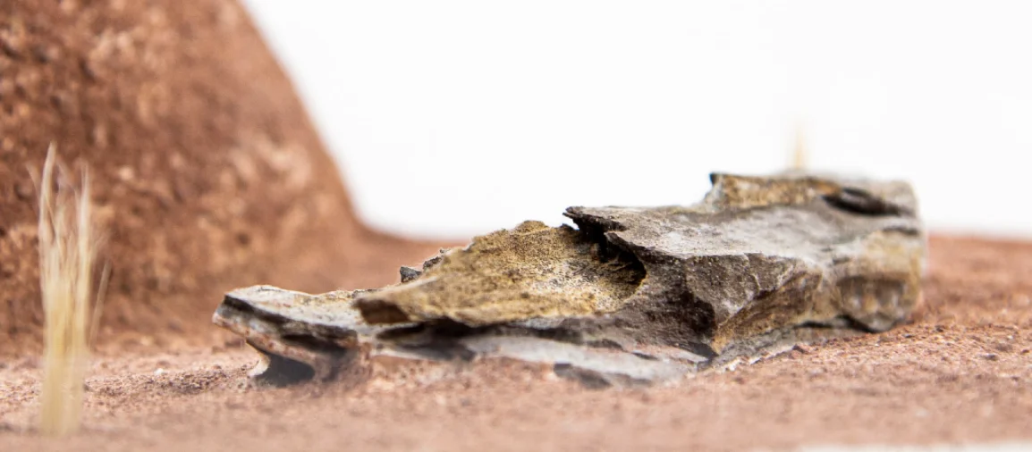 Medium Anthill Lightweight Brick Plaster Ant Nest| Alibaba.com