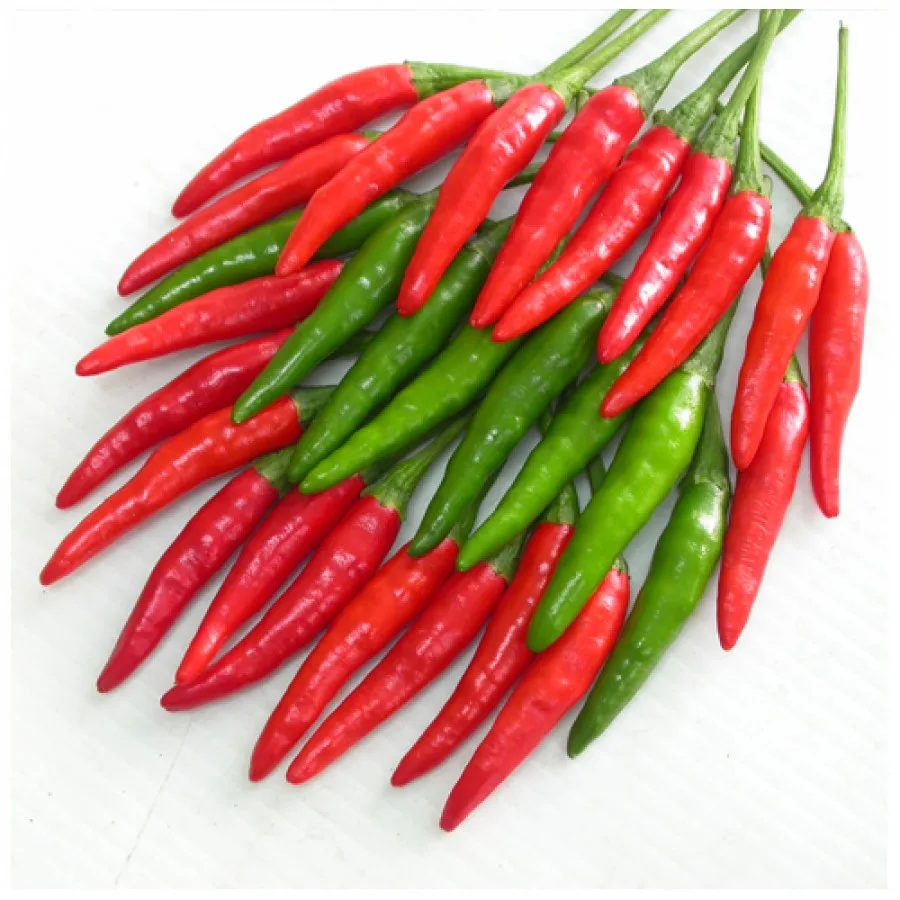 Fresh Red Chilli Pepper - Spicy & Versatile Single Herb