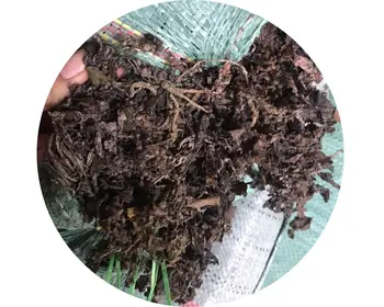 Dried Sargassum Seaweed Material For Fertilizer From Vietnam/best Grade ...