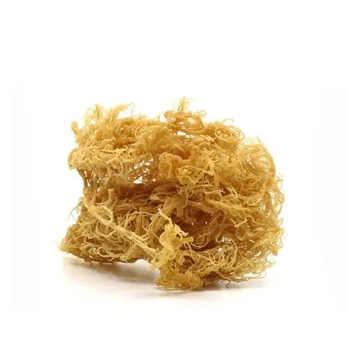 Dried Sea Moss Dried Eucheuma Cottonii Seaweed Sea Moss Cottonii Dried ...