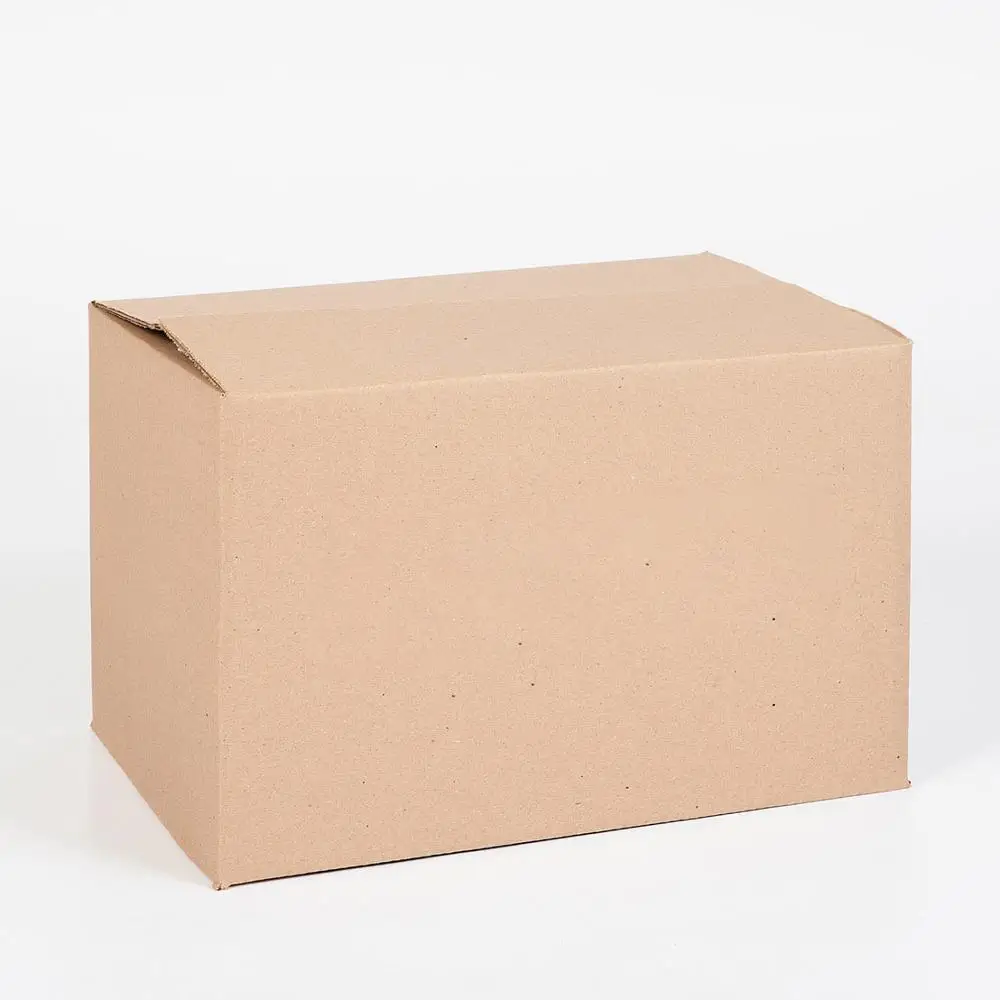 Politzer Paracentesis Needles,Ear And Surgical Instruments - Buy Needle ...