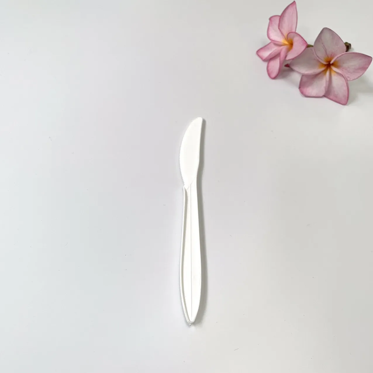 Disposable Plastic Cutlery Knife Fork Tea Spoon Soup Spoon Spork ...