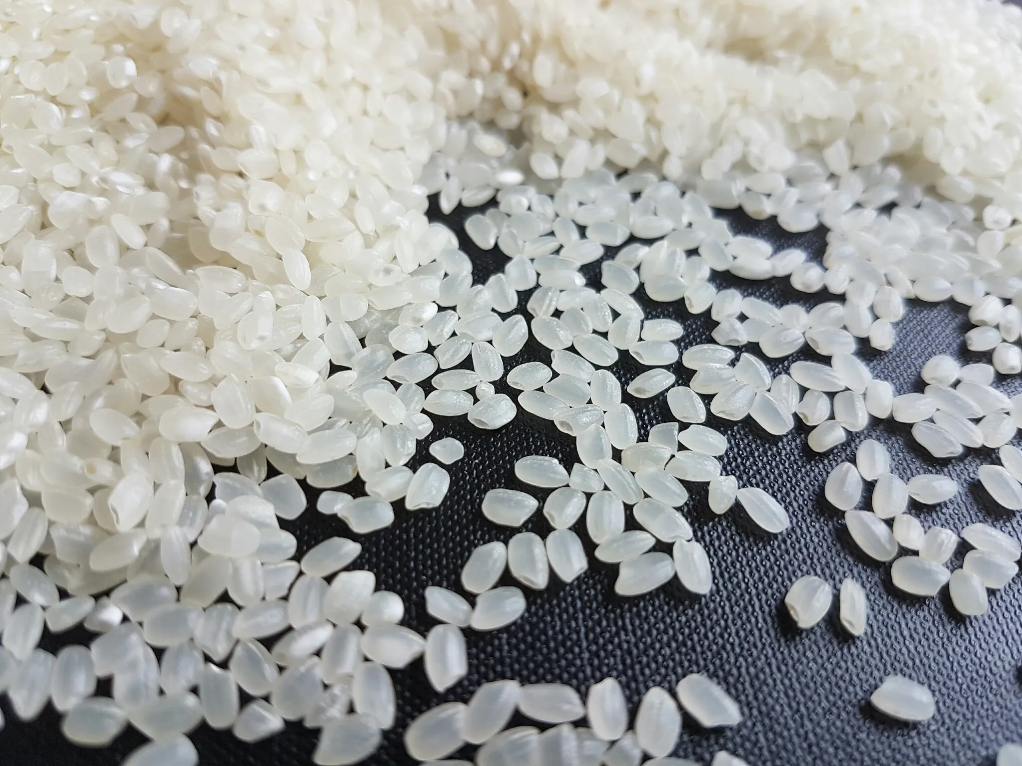 JAPONICA ROUND GRAIN RICE FACTORY SUPPLIER CHEAP PRICE - RIZ - ARROZ ...
