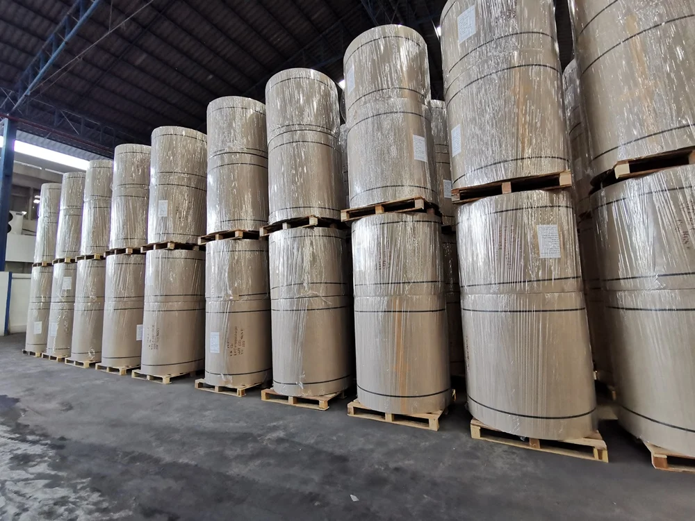 Thai Paper Supplier Core Board Cb Jumbo Roll (300 Plybond) For Making ...
