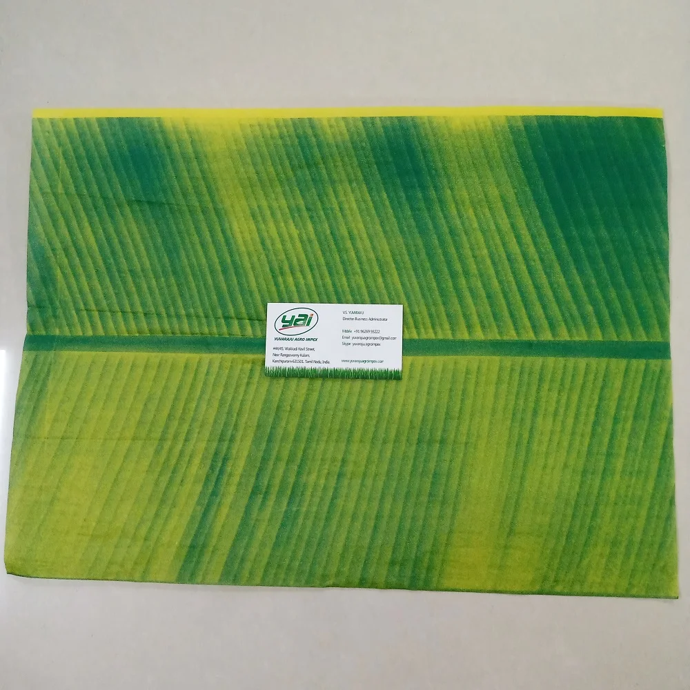 Fresh Banana Leaf Parcel Paper for Food Packing and Agriculture Use ...