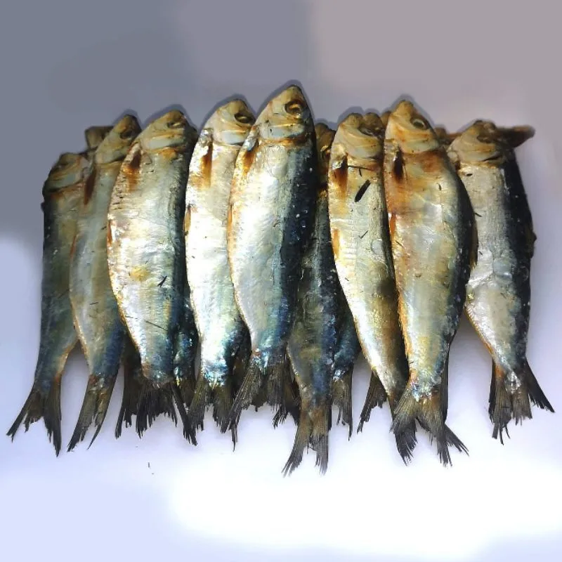 Banak Fish Export