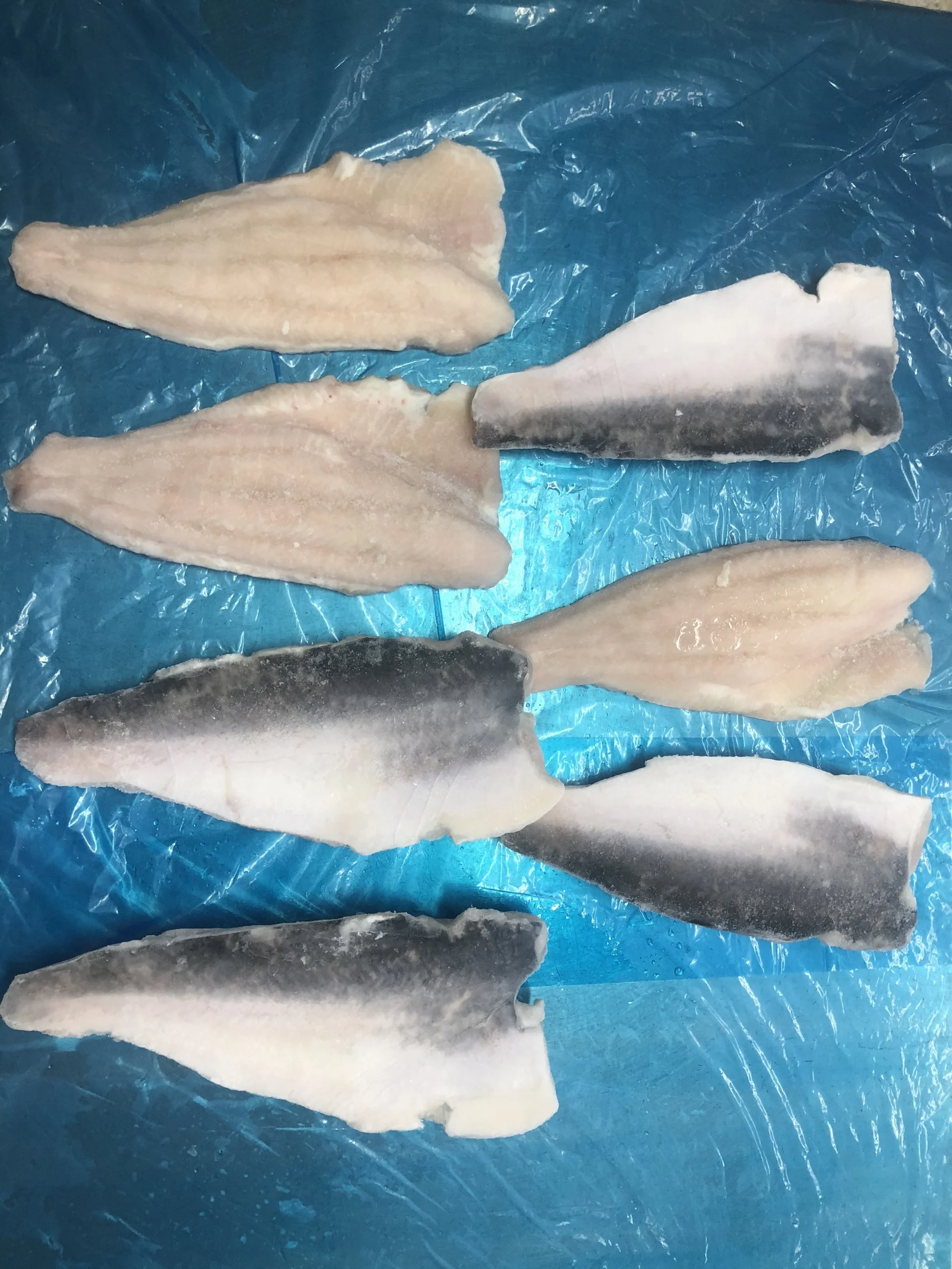 Frozen Pangasius Hypophthalmus Fillet/ Basa Fish Fillet Fillet Skin On ...