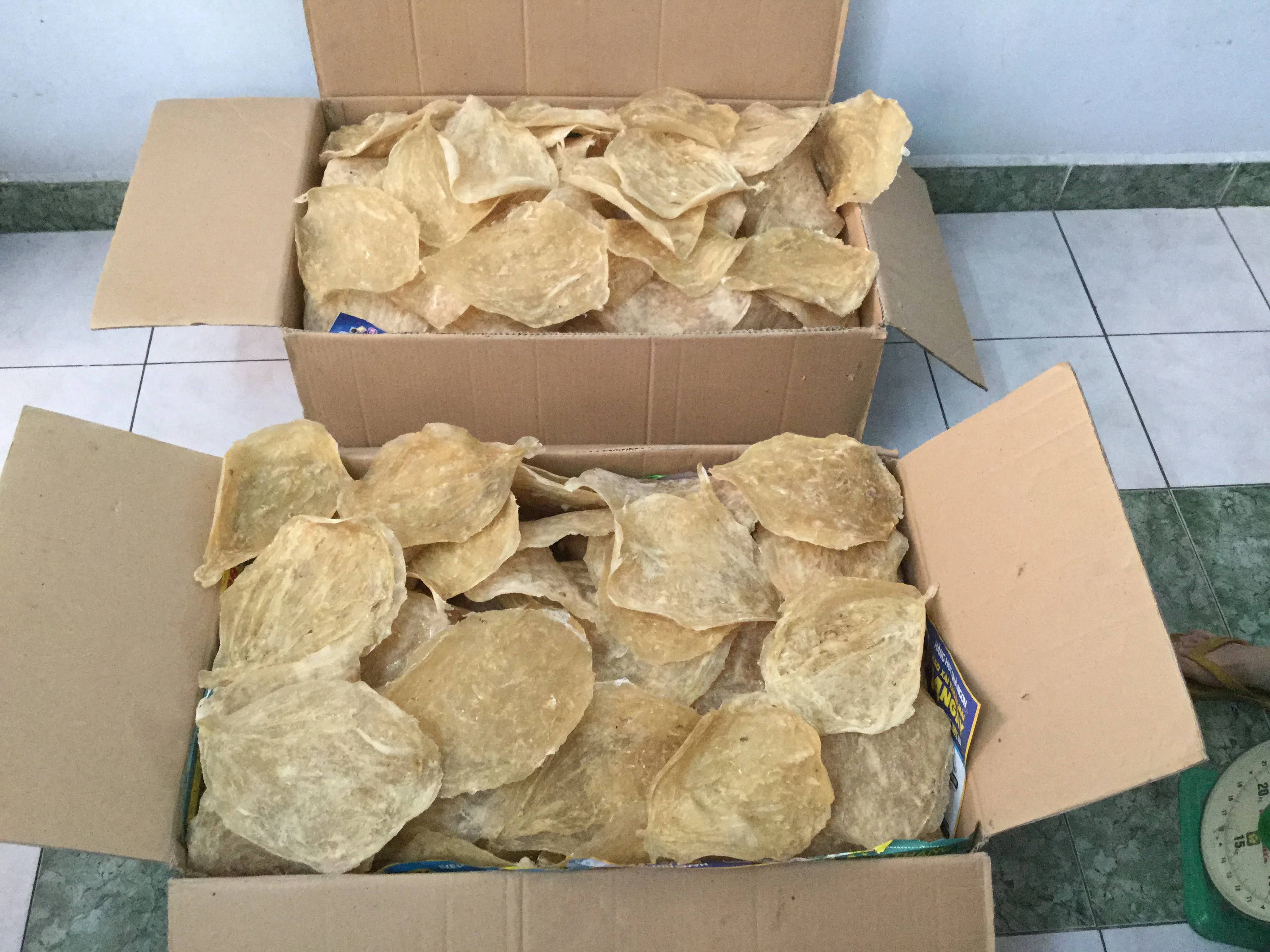 Dry Fish Maw Vietnam For Soup / Cat Fish Maw Basa Fish Maw Nutrious ...