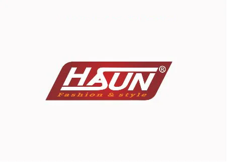 Company Overview - HASUN COMPANY LIMITED